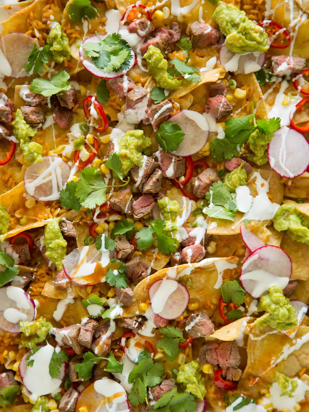 Carne Asada Nachos - Spoon Fork Bacon