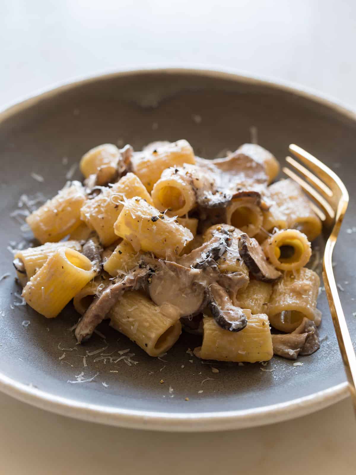 Mezzi Rigatoni with a Wild Mushroom Cream Sauce | Spoon Fork Bacon