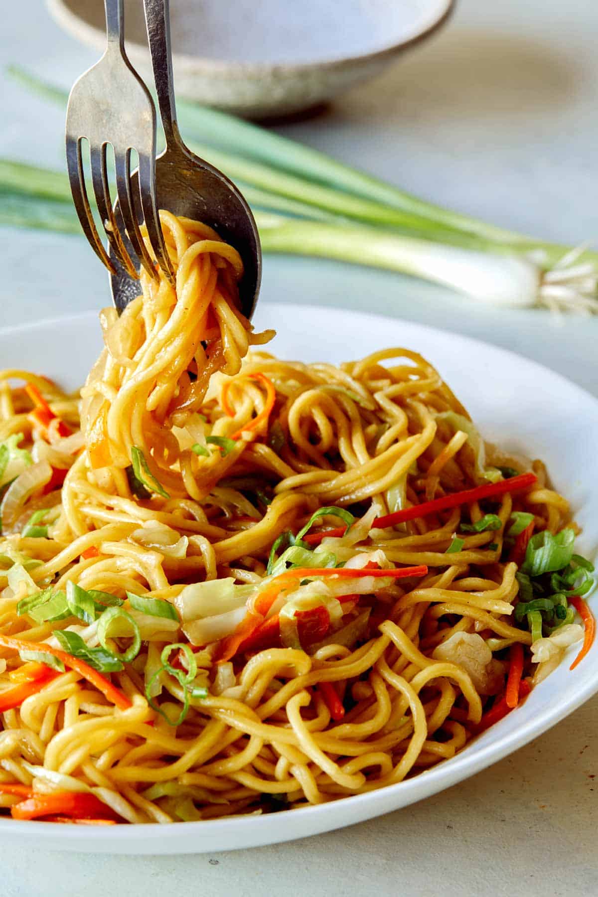 Chow Mein Recipe - Spoon Fork Bacon