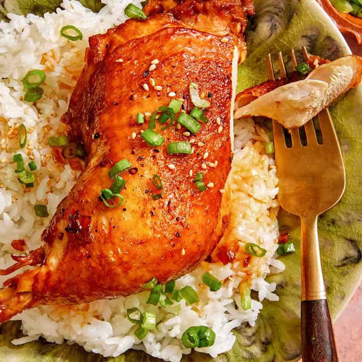 Garlic and Ginger Braised Chicken - MasterOfCooking