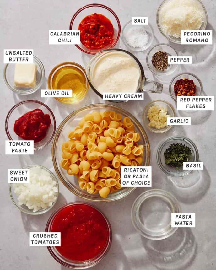 Spicy Rigatoni Recipe (Carbone Copycat) - Spoon Fork Bacon