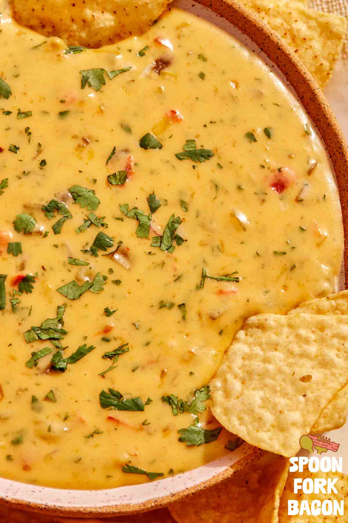 The BEST Queso Recipe - Spoon Fork Bacon